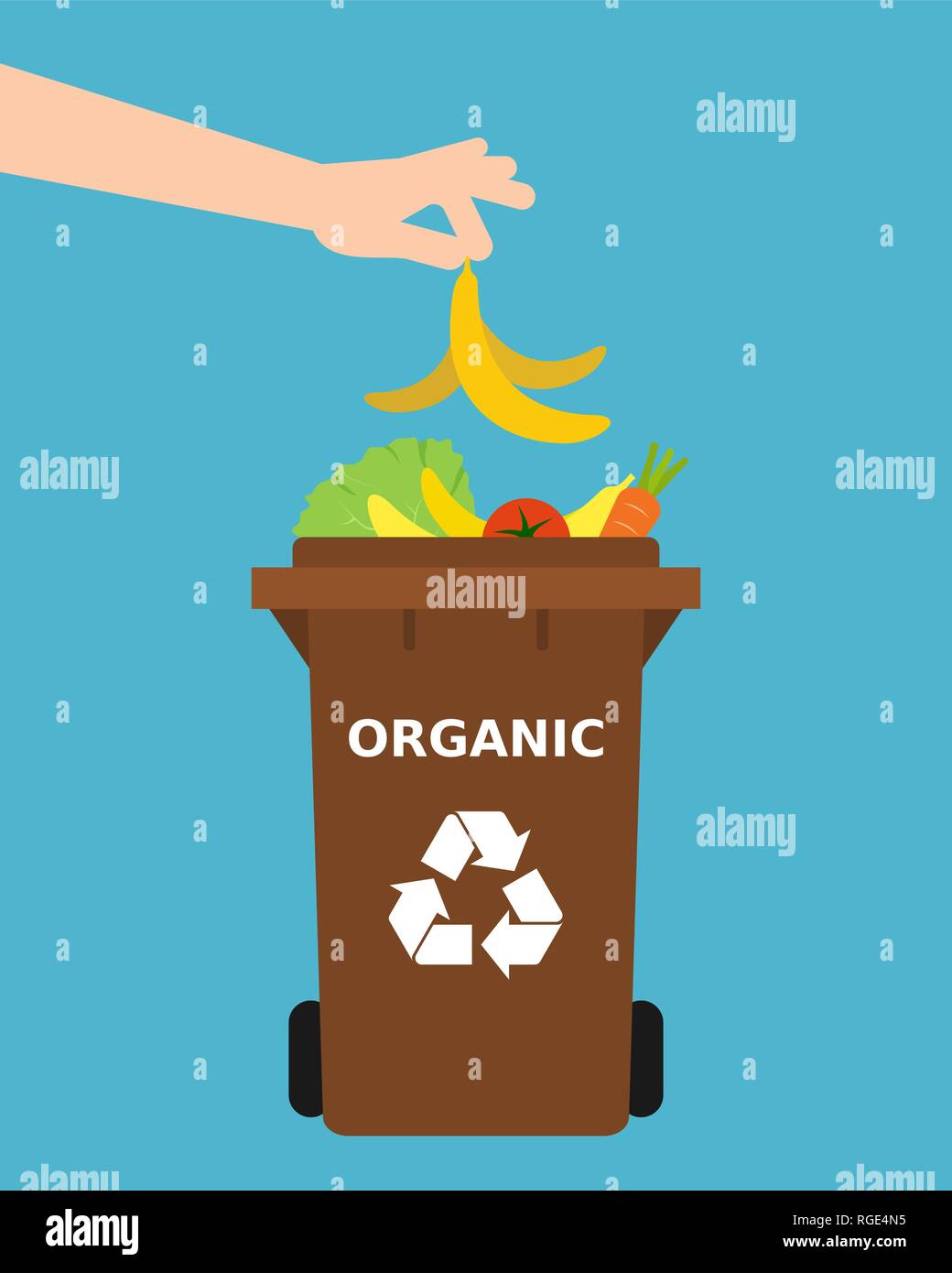 Hand throwing a banana peel into a recycle bin. Recycling organic waste ...