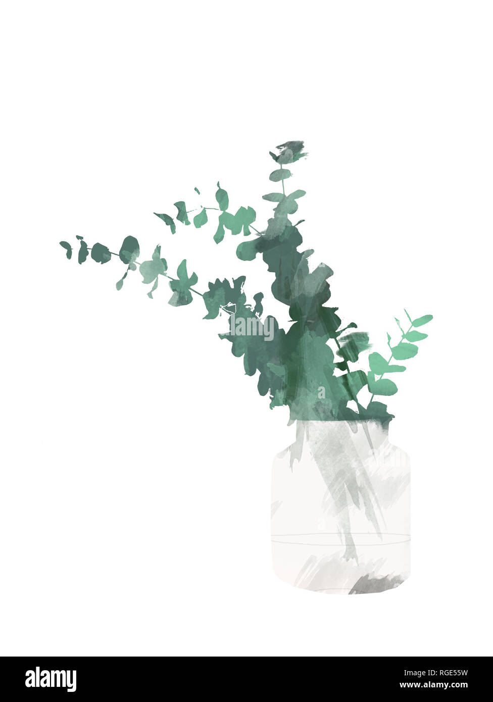 Hand painted eucalyptus in the bottle or vase isolated on white ...
