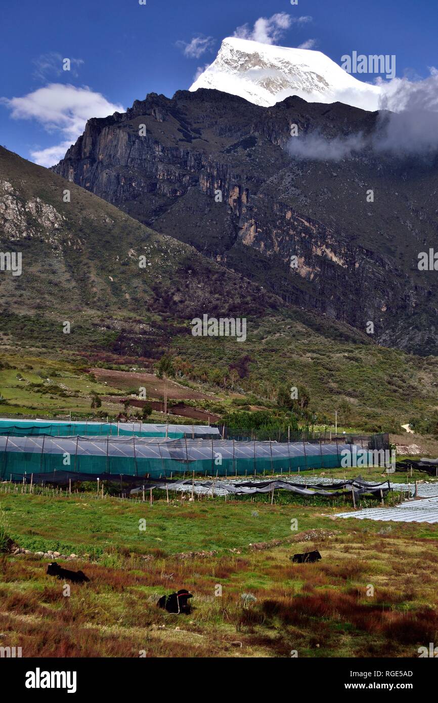 Huascaran mount - National park HUASCARAN. Department of Ancash.PERU ...