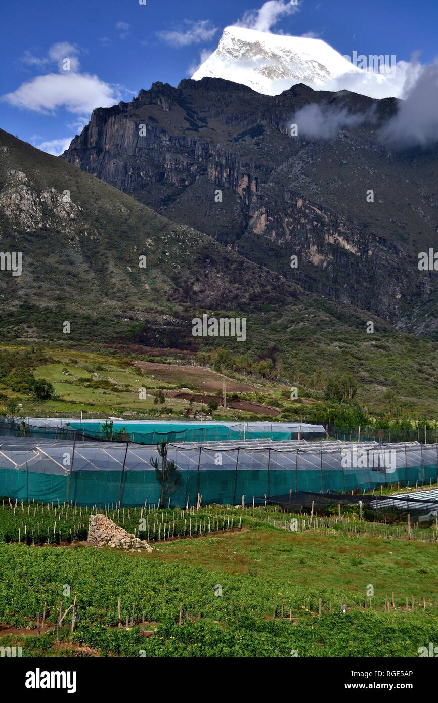 Huascaran mount - National park HUASCARAN. Department of Ancash.PERU ...