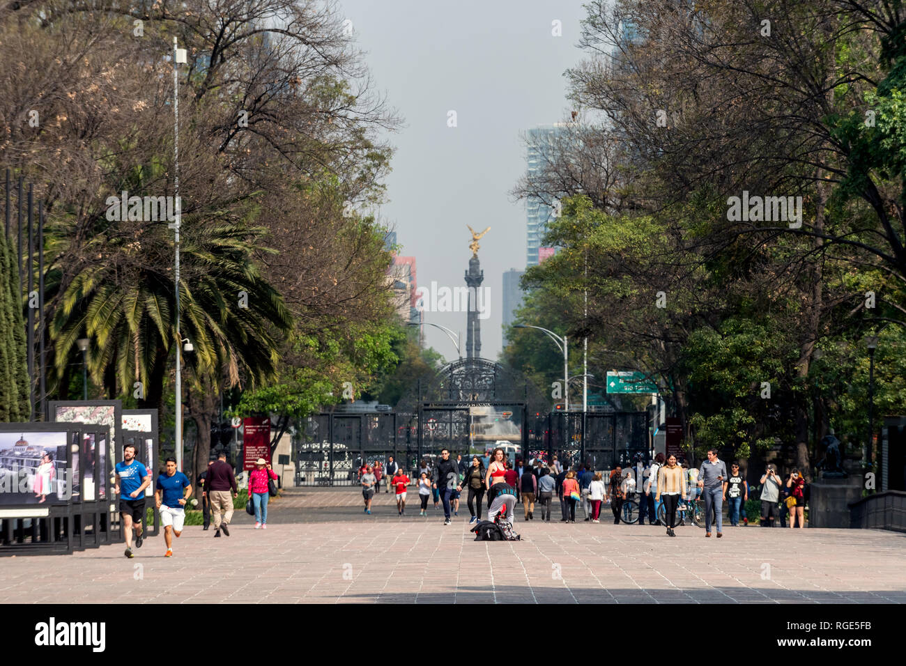 Chapultepec Park in Mexico City Stock Photo - Alamy