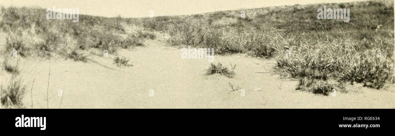 Windward slope hi-res stock photography and images - Alamy