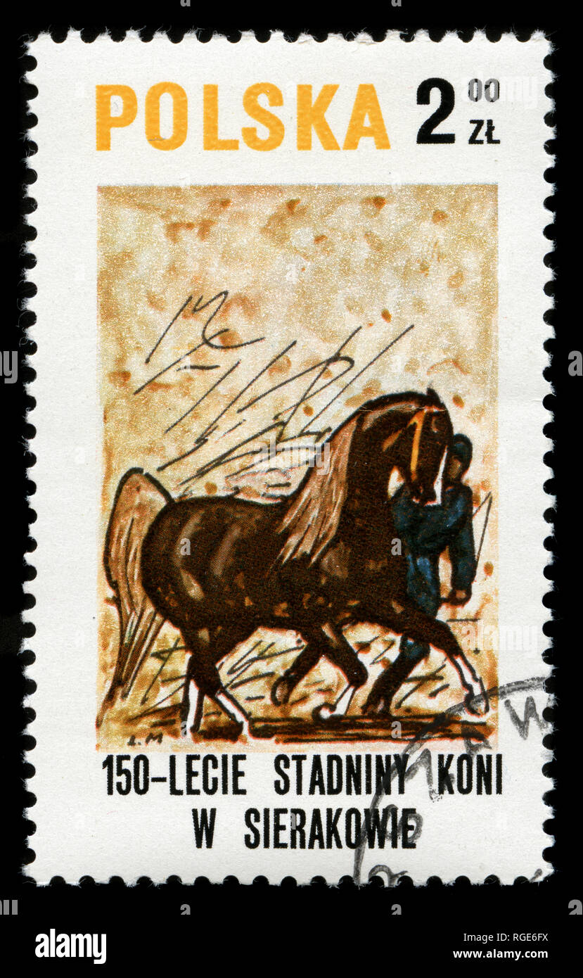 Postage stamp from the Poland in the Sierakov Horse Stud Farm series ...