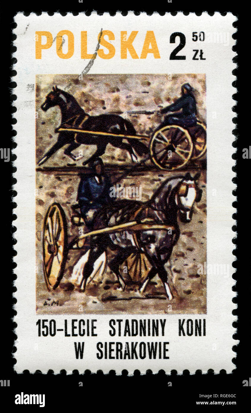 Postage stamp from the Poland in the Sierakov Horse Stud Farm series ...