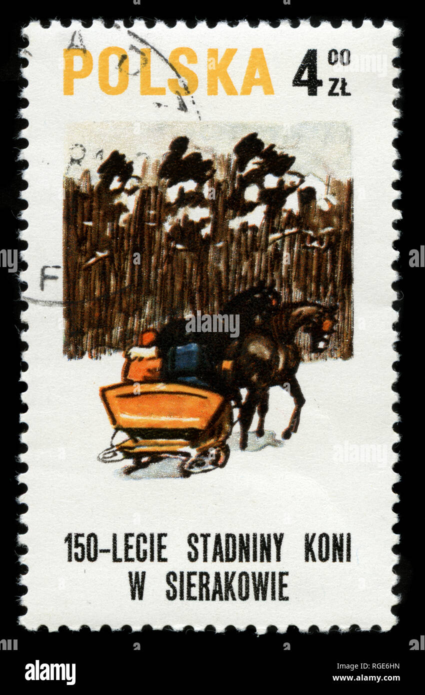 Postage stamp from the Poland in the Sierakov Horse Stud Farm series ...