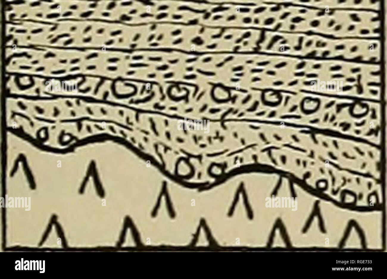 Chert nodules hi-res stock photography and images - Alamy