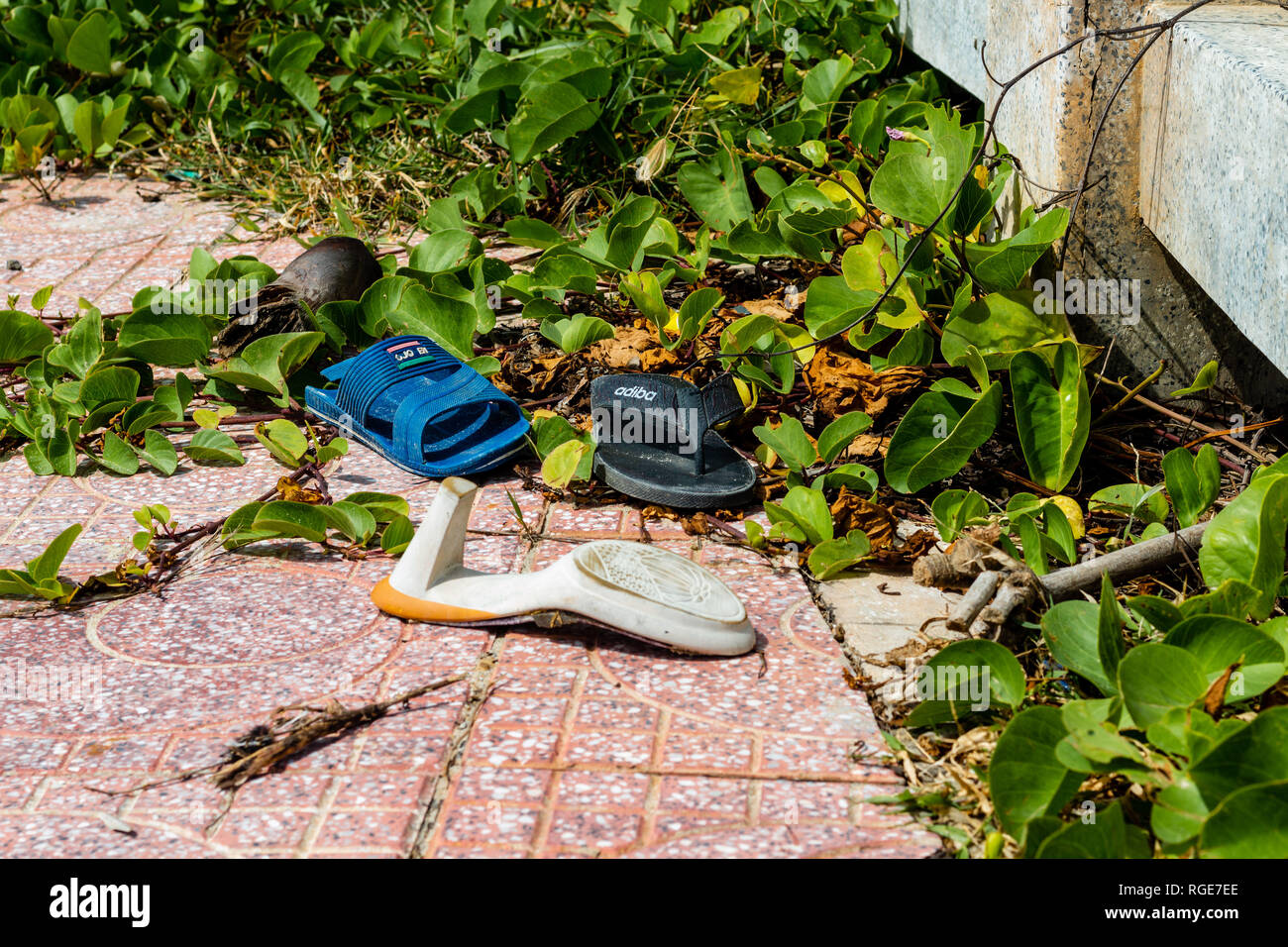 Beach pollution, plastic and waste from ocean on the beach Stock Photo ...