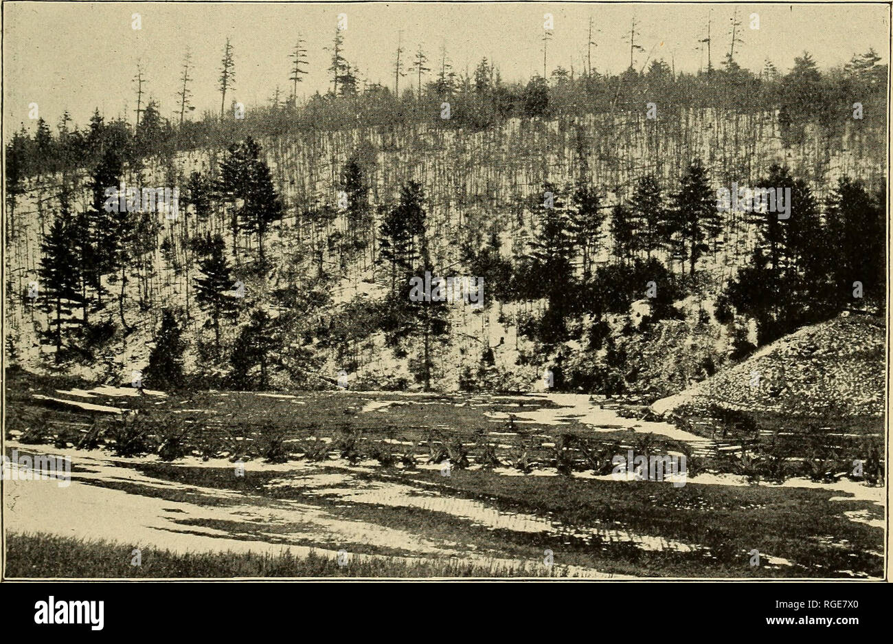 West danby hi-res stock photography and images - Alamy
