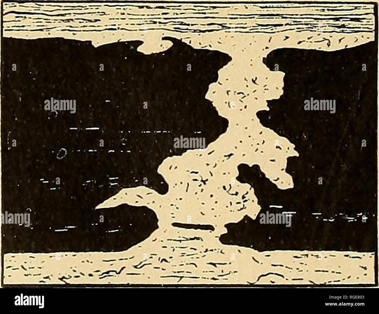 . Bulletin of the Geological Society of America. Geology. Figure 18 ...