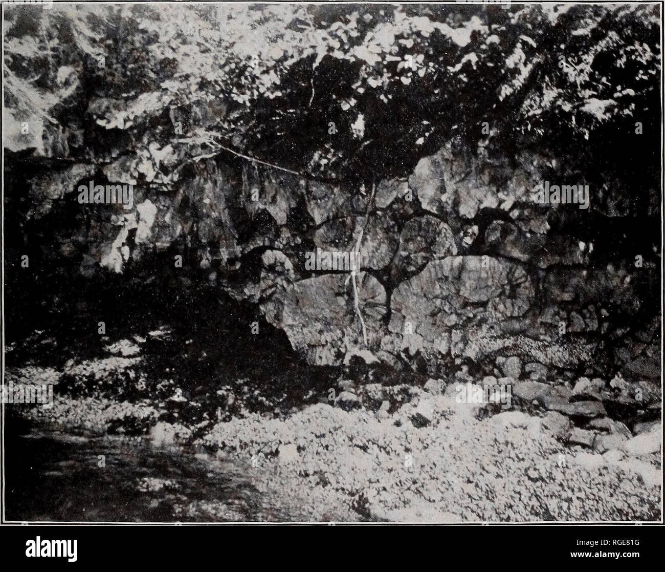 Greenstone point hi-res stock photography and images - Alamy