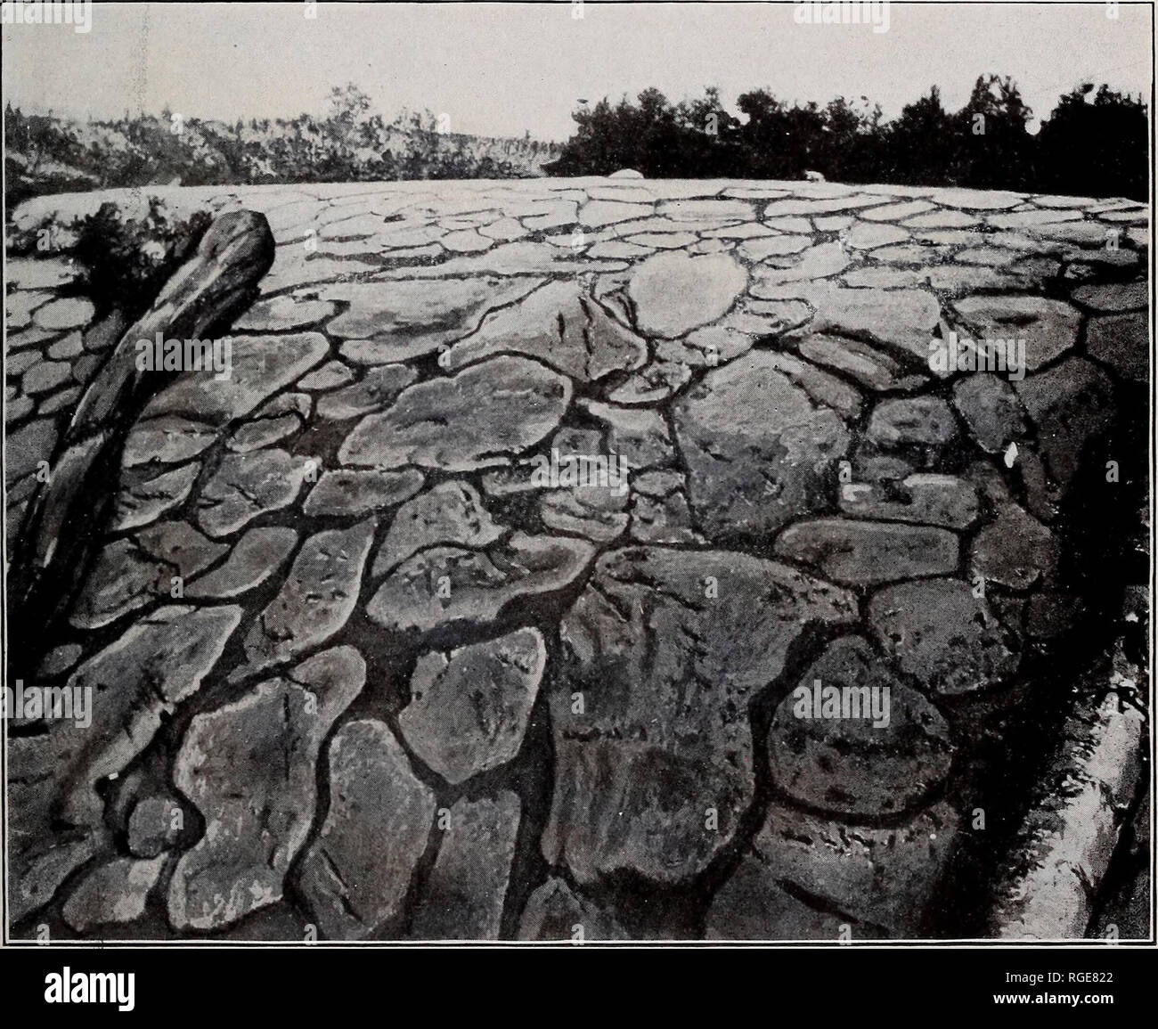 . Bulletin of the Geological Society of America. Geology. Figure 1 ...