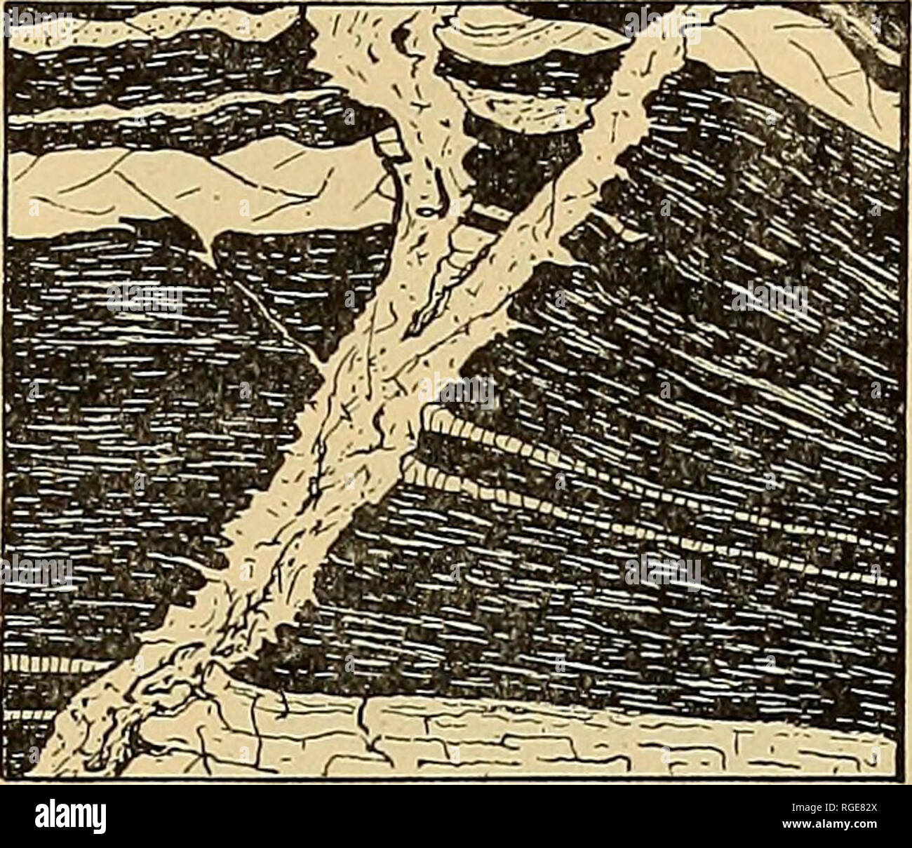 Deformed laminae hi-res stock photography and images - Alamy