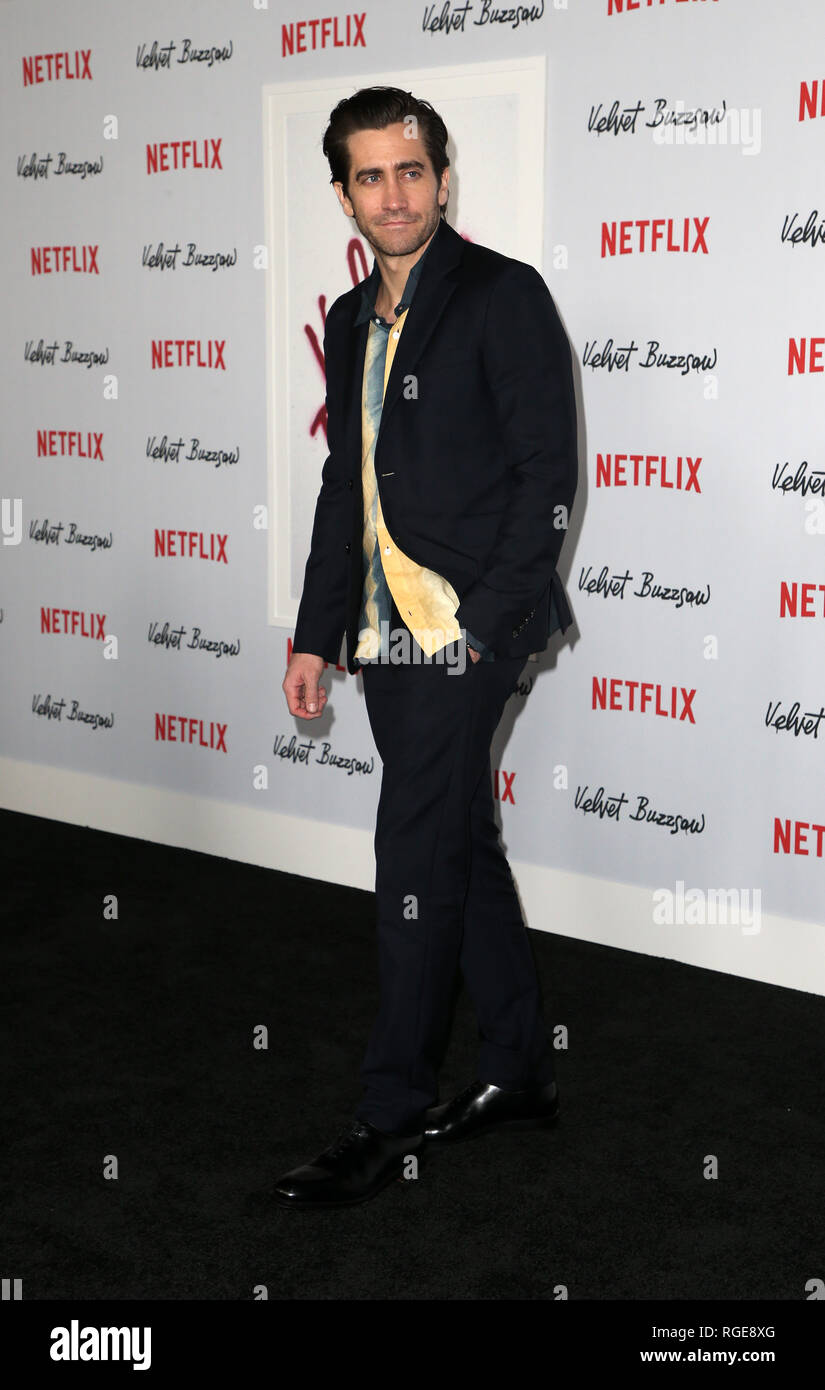 Hollywood, Ca. 28th Jan, 2019. Jake Gyllenhaal, at the Velvet Buzzsaw ...