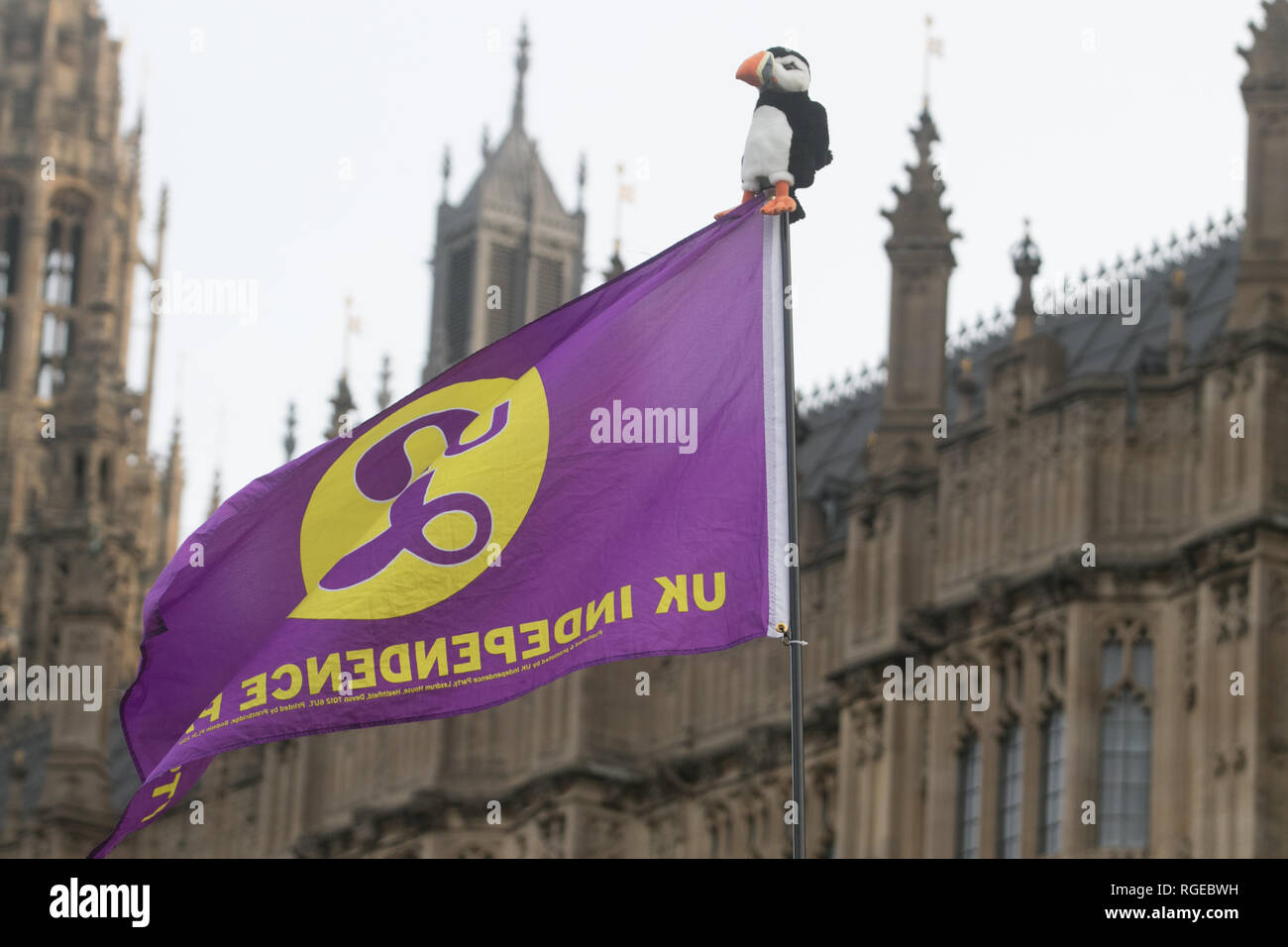 Ukip flag hi-res stock photography and images - Alamy