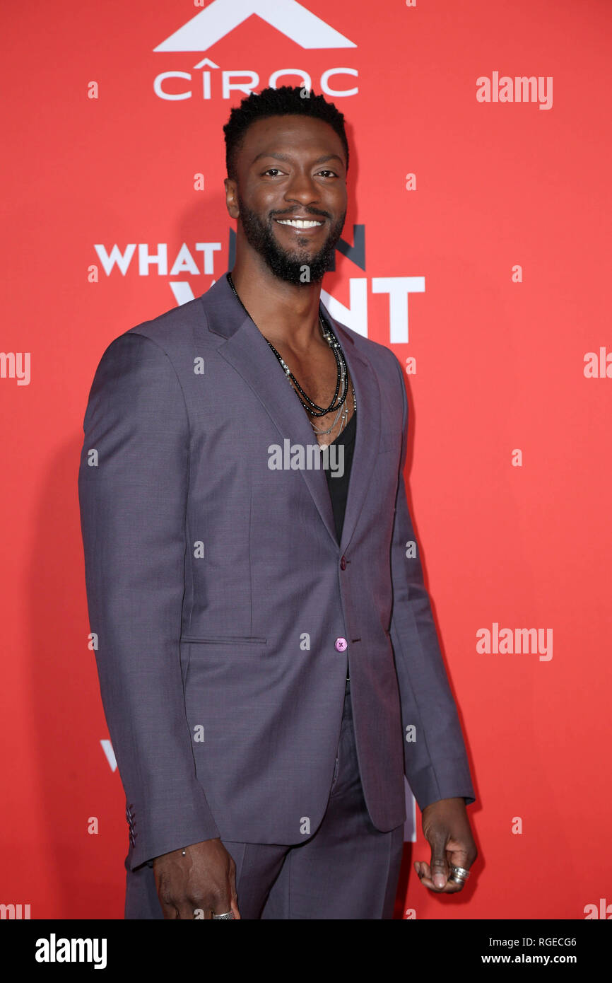 David hodge hi-res stock photography and images - Alamy