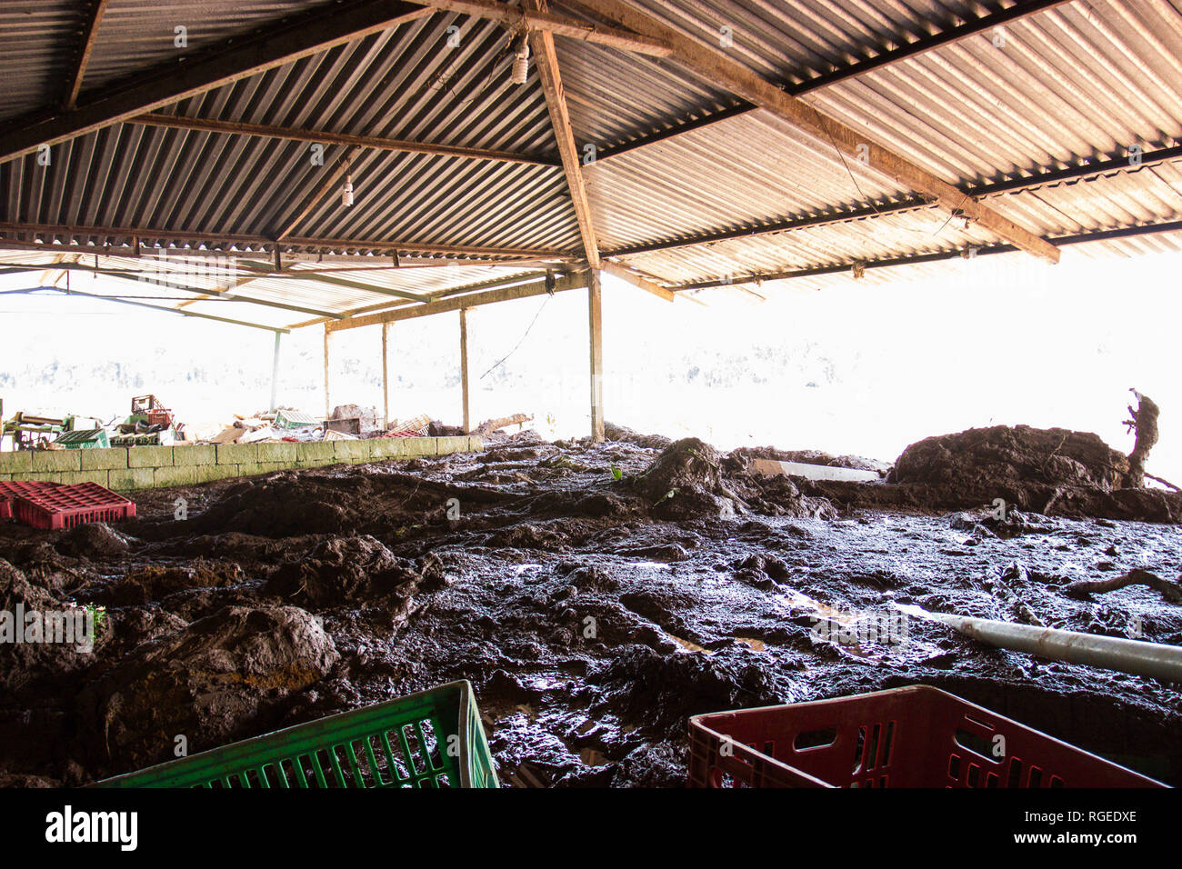 Brumadinho, Brazil. 28th Jan, 2019. Drying mud lies high in a house ...