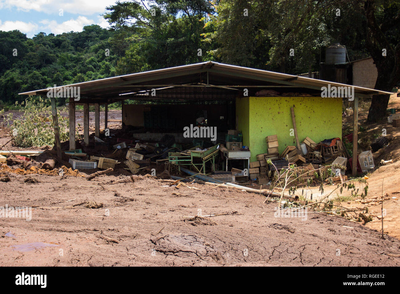 Brumadinho, Brazil. 28th Jan, 2019. Drying mud lies high in a house ...