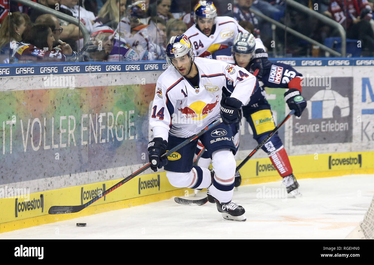 Berlin, Germany. 29th Jan, 2019. Ice hockey: DEL, Eisbären Berlin - EHC ...