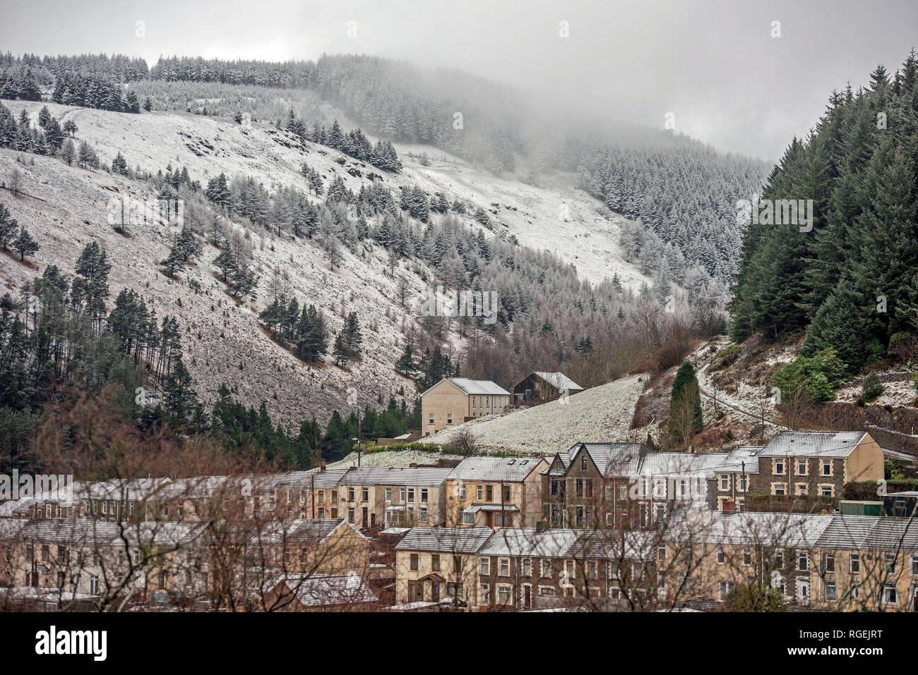 Afan forest hi-res stock photography and images - Alamy