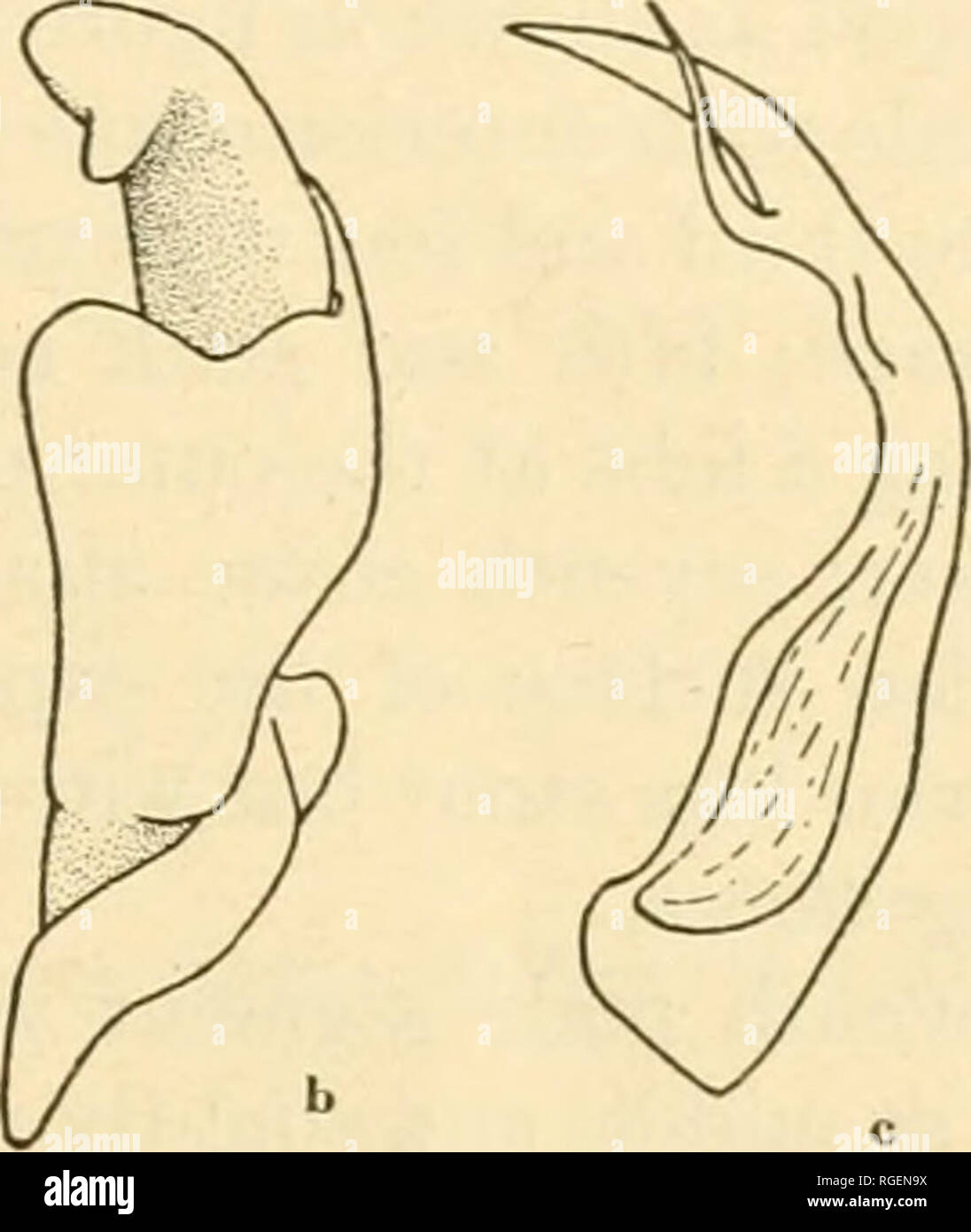 . Bulletin of the Museum of Comparative Zoology at Harvard College ...