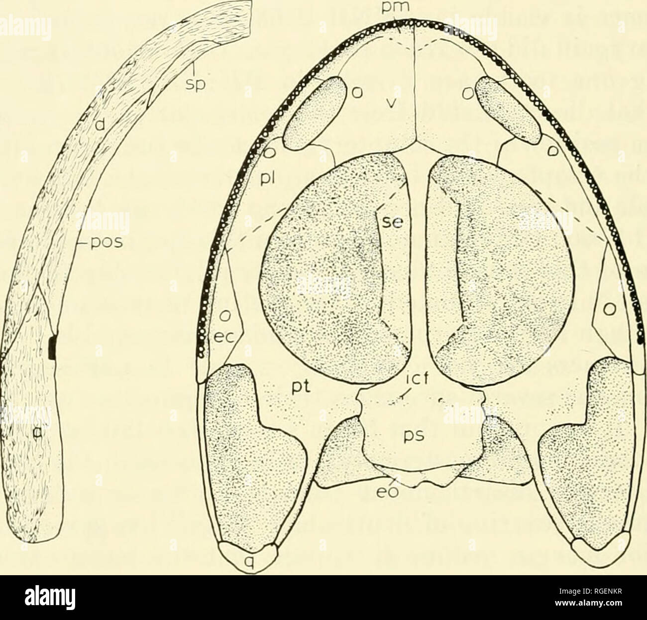 . Bulletin of the Museum of Comparative Zoology at Harvard College ...