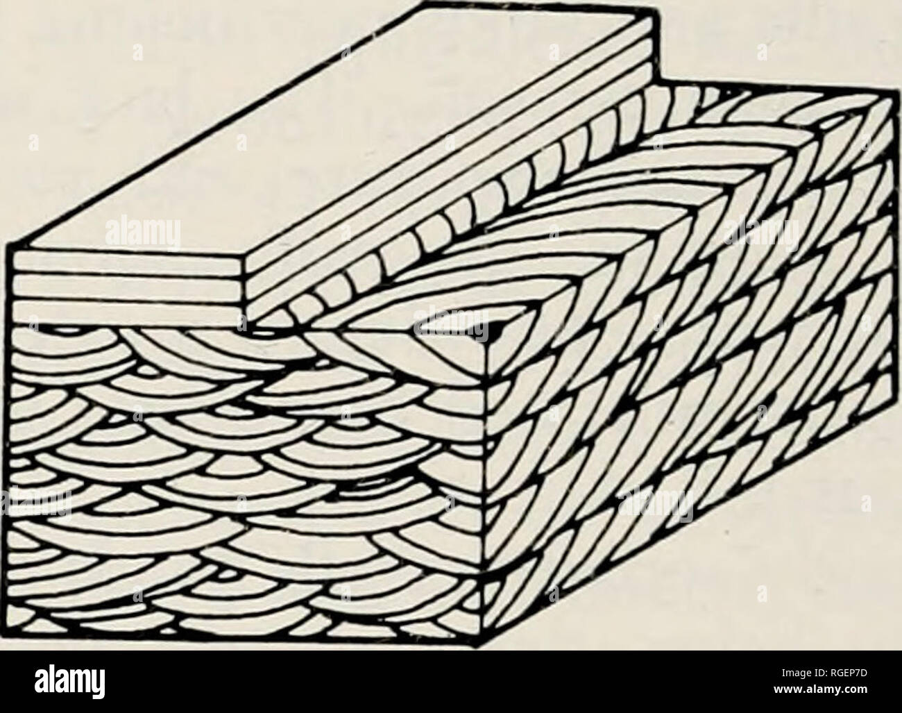 . Bulletin of the Museum of Comparative Zoology at Harvard College ...