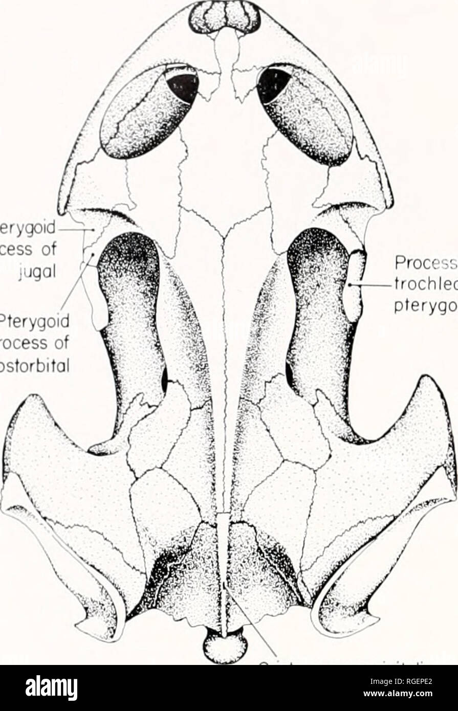 . Bulletin of the Museum of Comparative Zoology at Harvard College ...