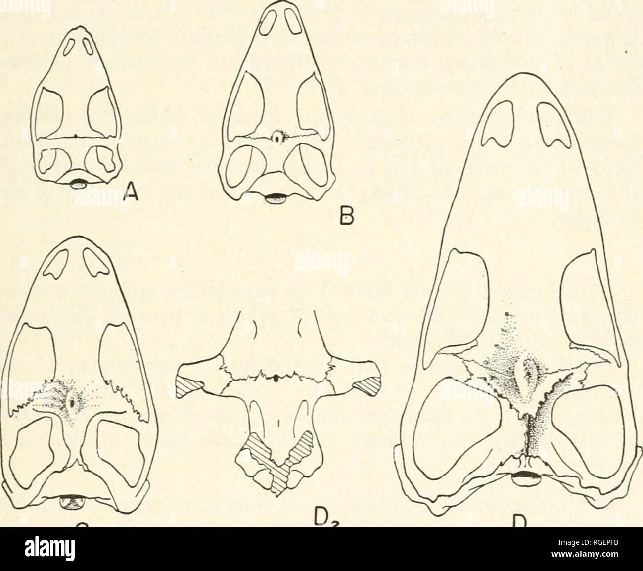. Bulletin of the Museum of Comparative Zoology at Harvard College ...