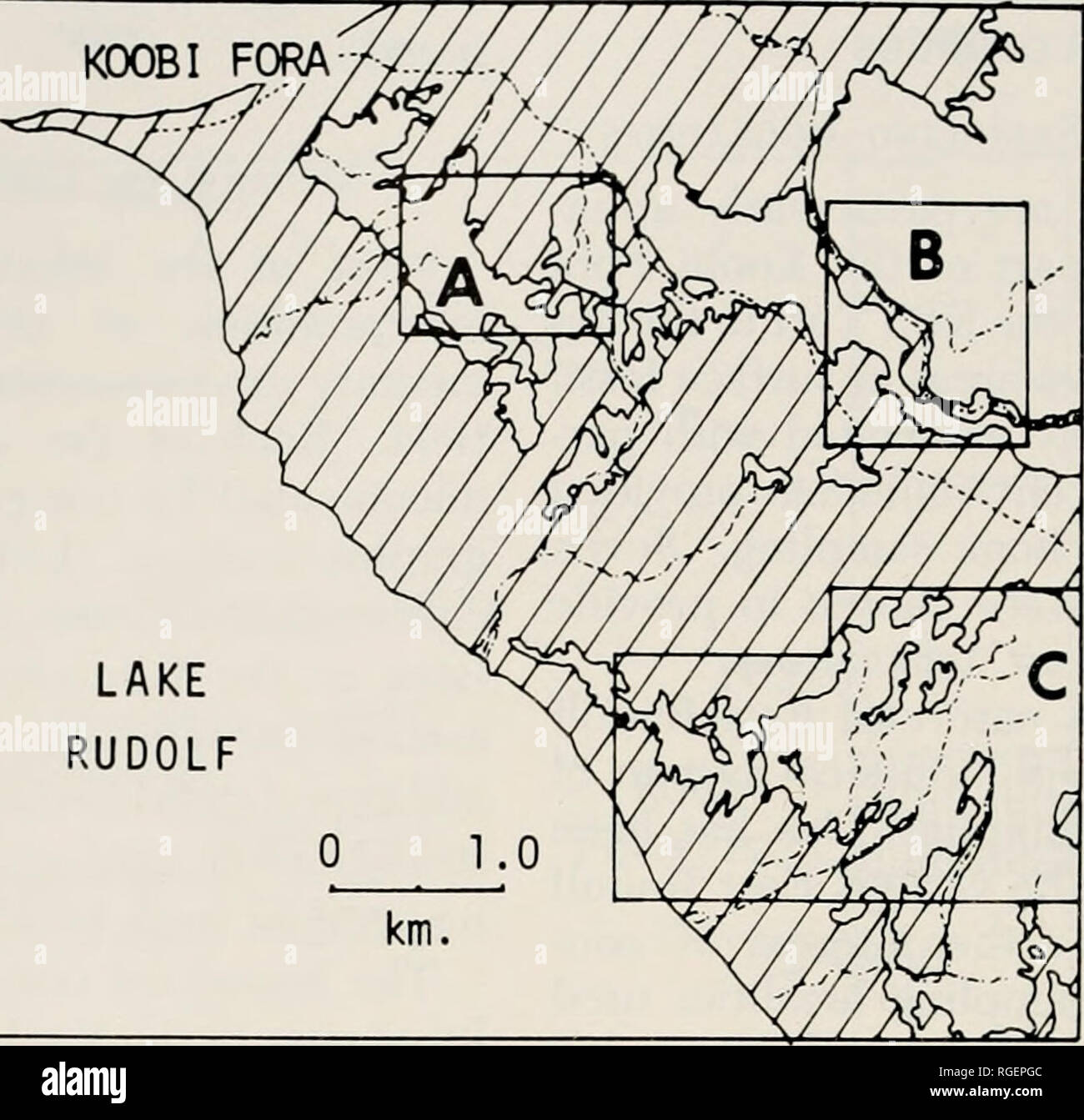 Fora lake hi-res stock photography and images - Alamy