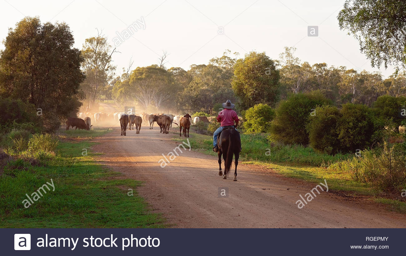 Droving Stock Photos & Droving Stock Images - Alamy