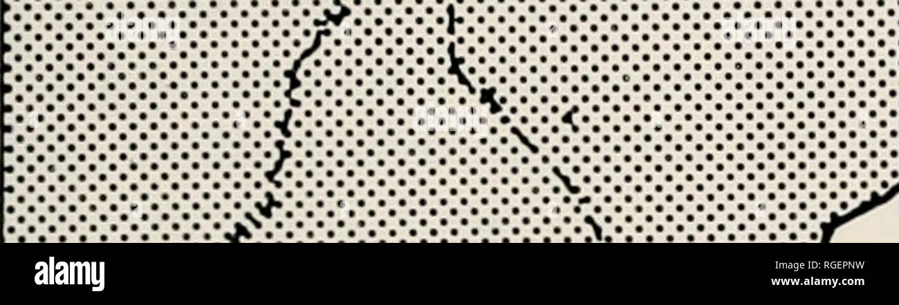 Plio pleistocene hi-res stock photography and images - Alamy