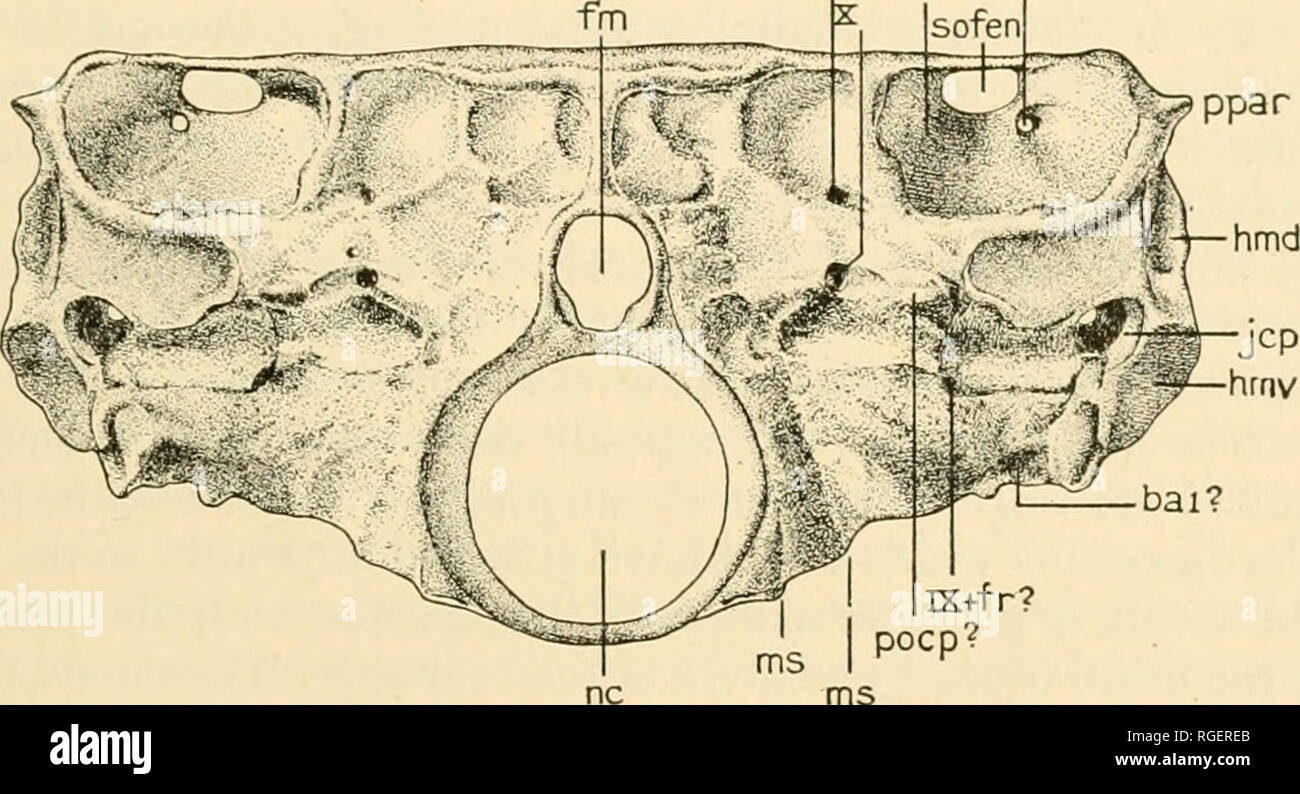 . Bulletin of the Museum of Comparative Zoology at Harvard College ...