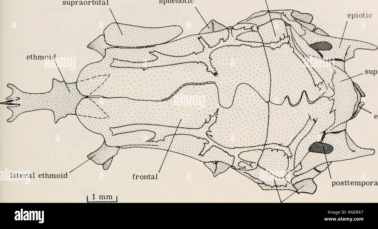 . Bulletin of the Museum of Comparative Zoology at Harvard College ...