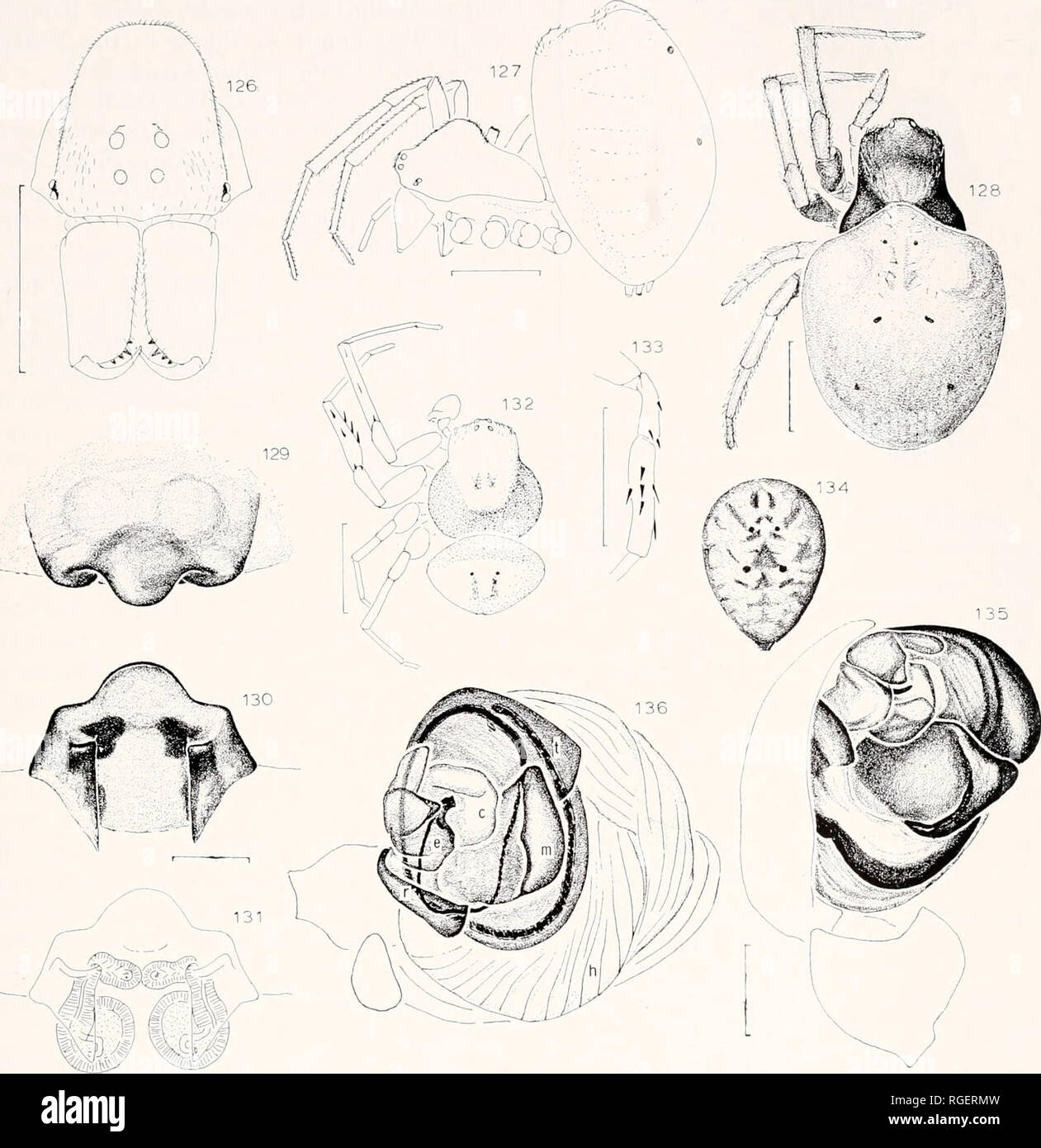 . Bulletin of the Museum of Comparative Zoology at Harvard College ...