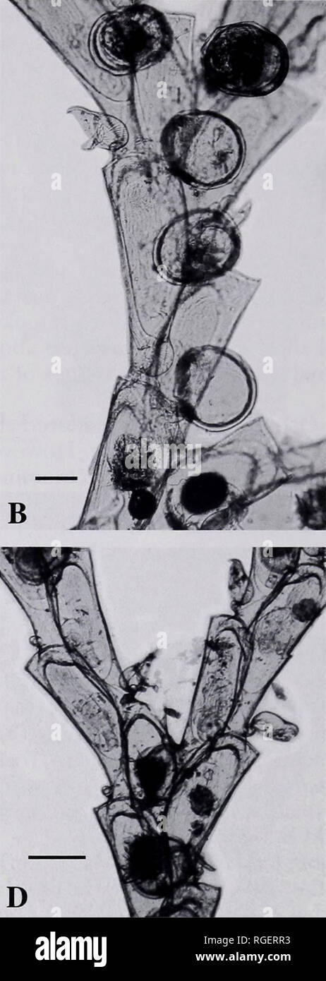 . Bulletin of the Museum of Comparative Zoology at Harvard College ...