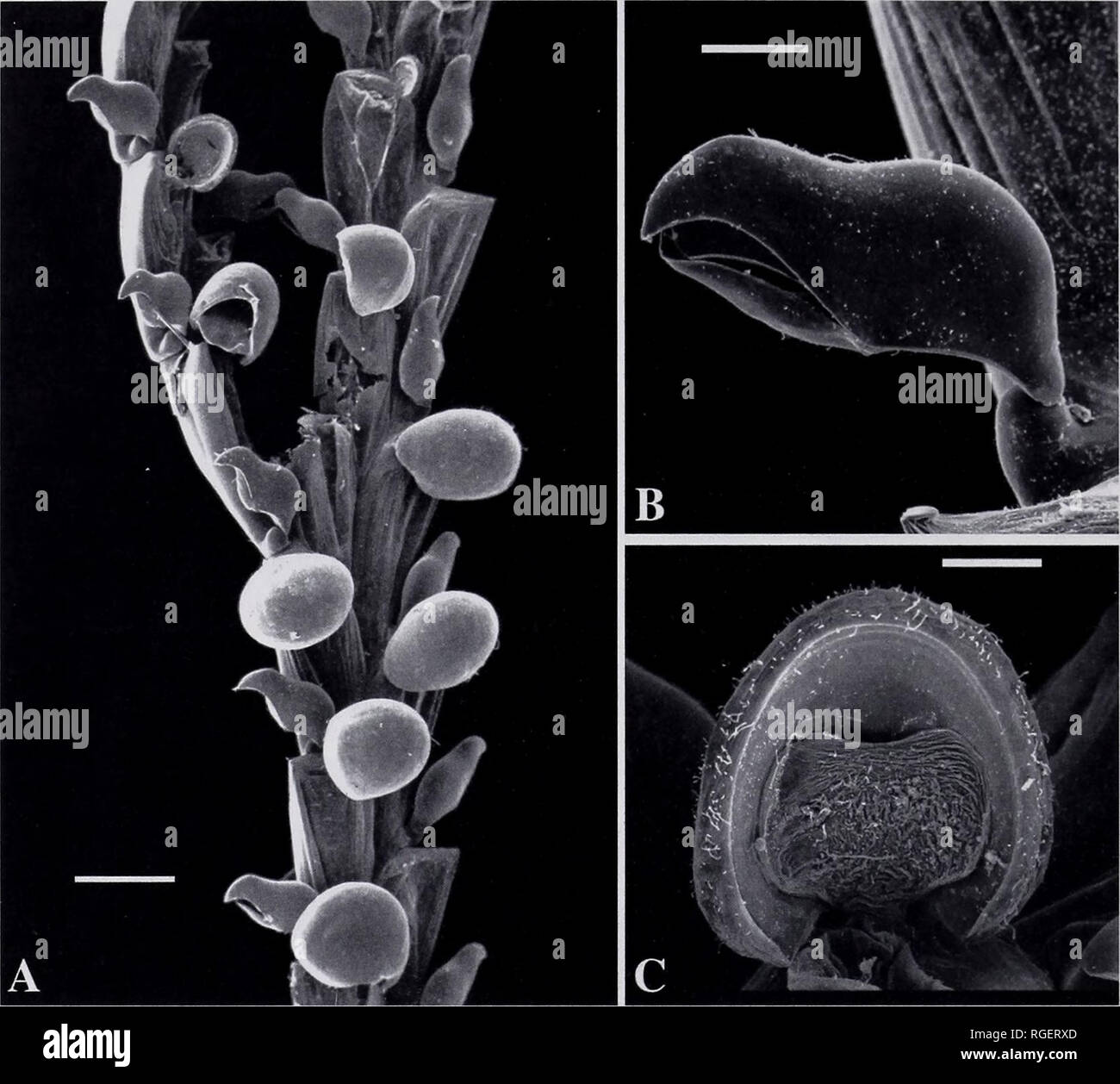 World ocean museum branch hi-res stock photography and images - Alamy