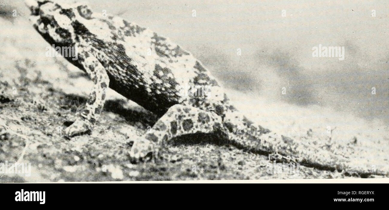 . Bulletin of the Museum of Comparative Zoology at Harvard College ...