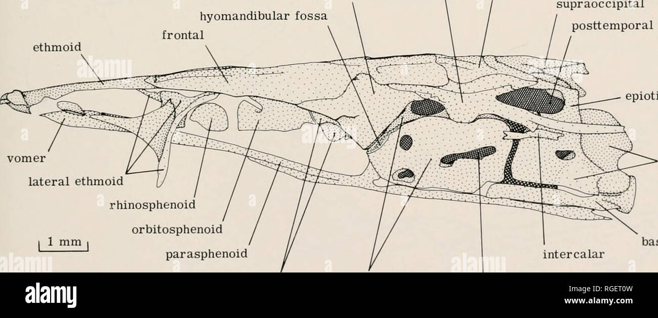 . Bulletin of the Museum of Comparative Zoology at Harvard College ...
