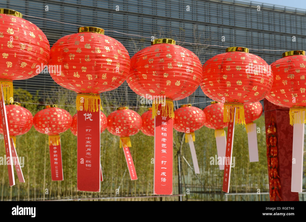 red lanterns with chinese letters printed mean bring good luck,word on ...