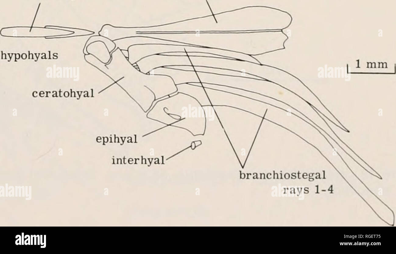 . Bulletin of the Museum of Comparative Zoology at Harvard College ...