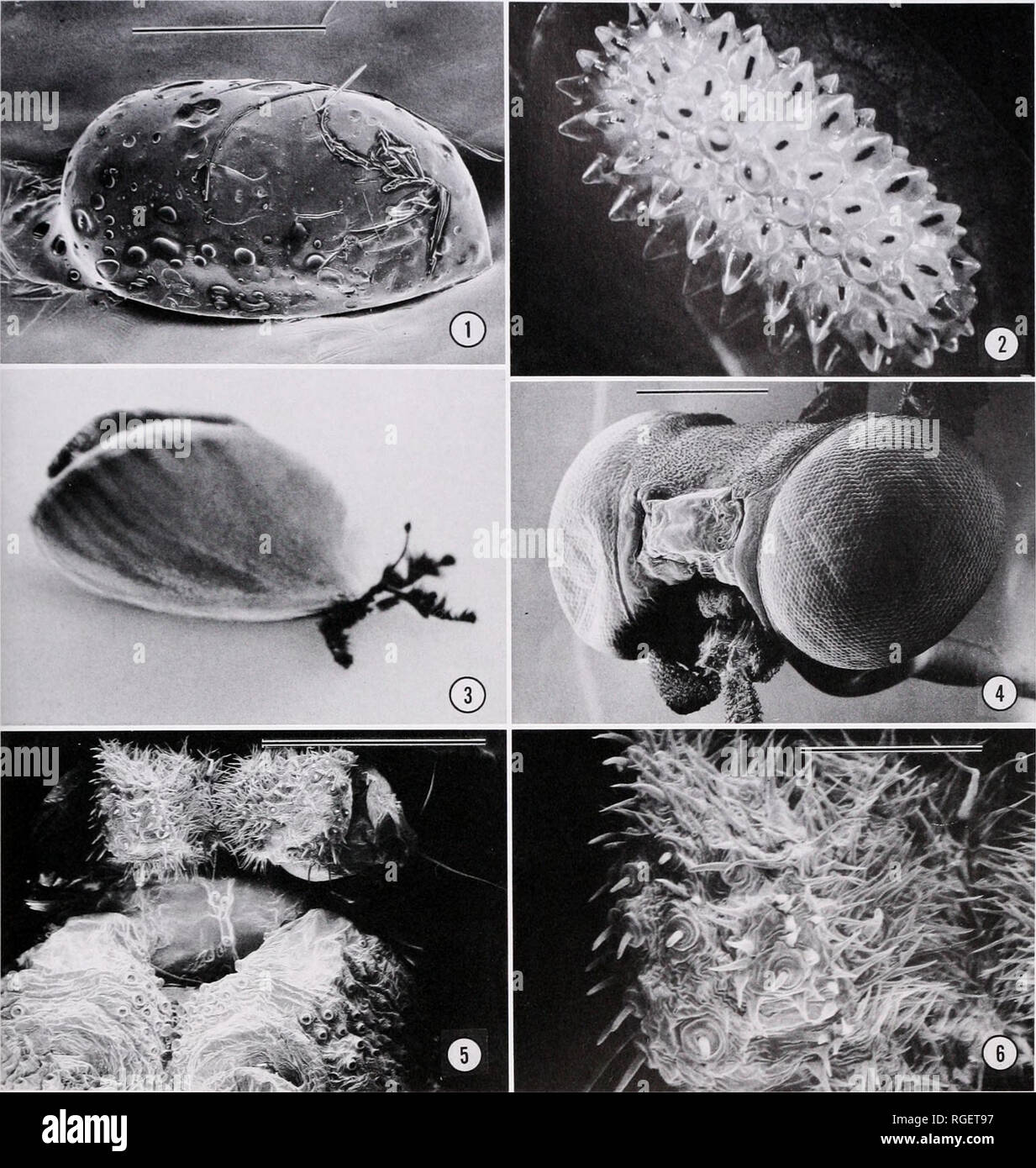 . Bulletin of the Museum of Comparative Zoology at Harvard College ...