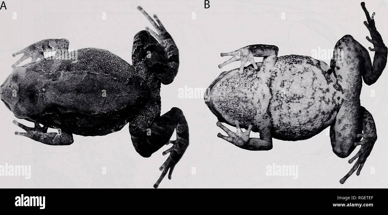 . Bulletin of the Museum of Comparative Zoology at Harvard College ...