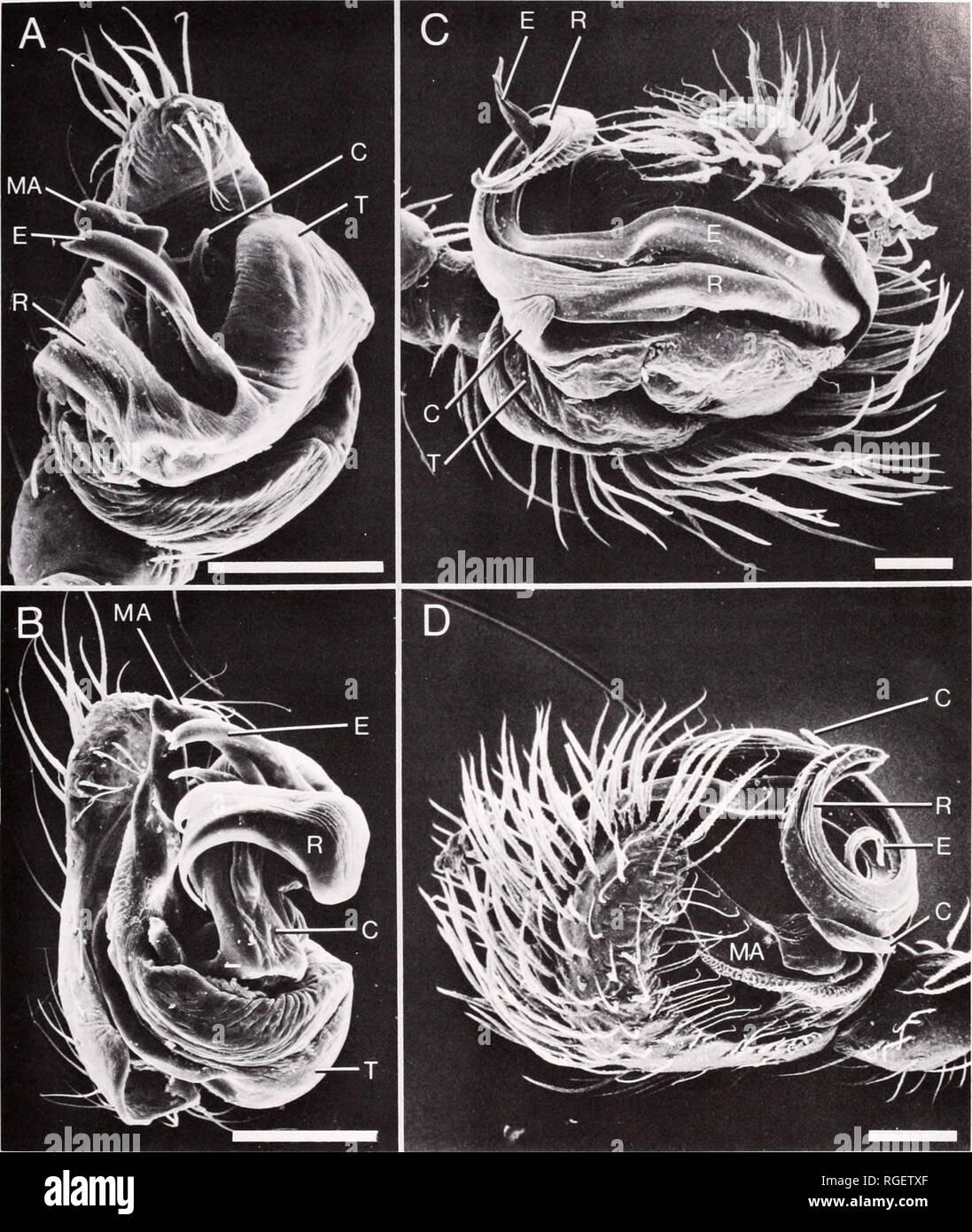 Scler hi-res stock photography and images - Alamy