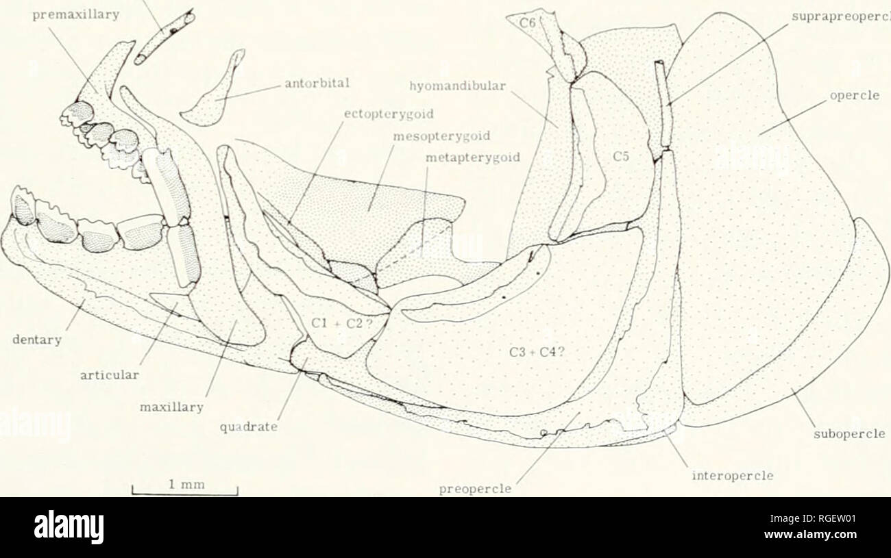 . Bulletin of the Museum of Comparative Zoology at Harvard College ...