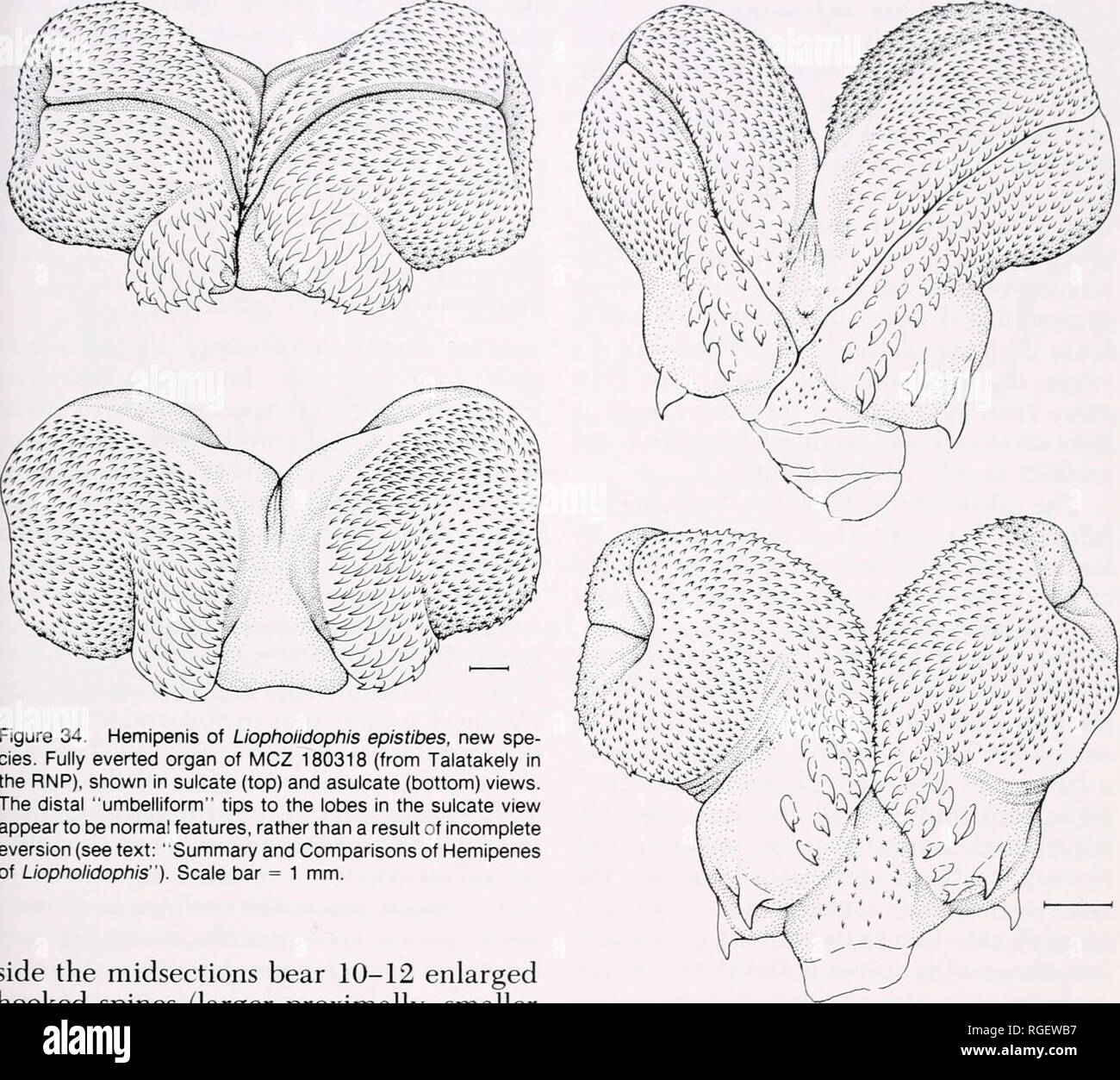 . Bulletin of the Museum of Comparative Zoology at Harvard College ...