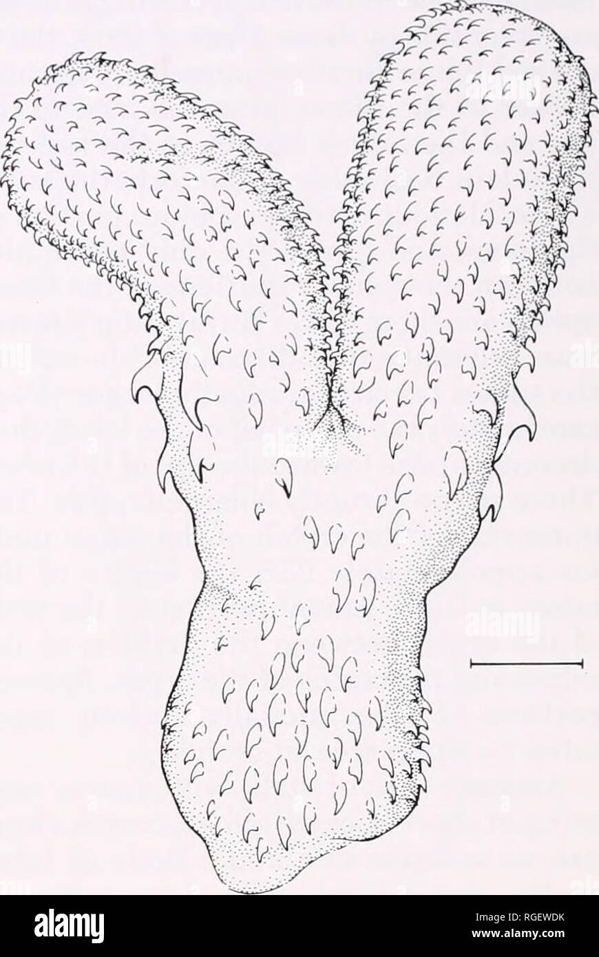 . Bulletin of the Museum of Comparative Zoology at Harvard College ...