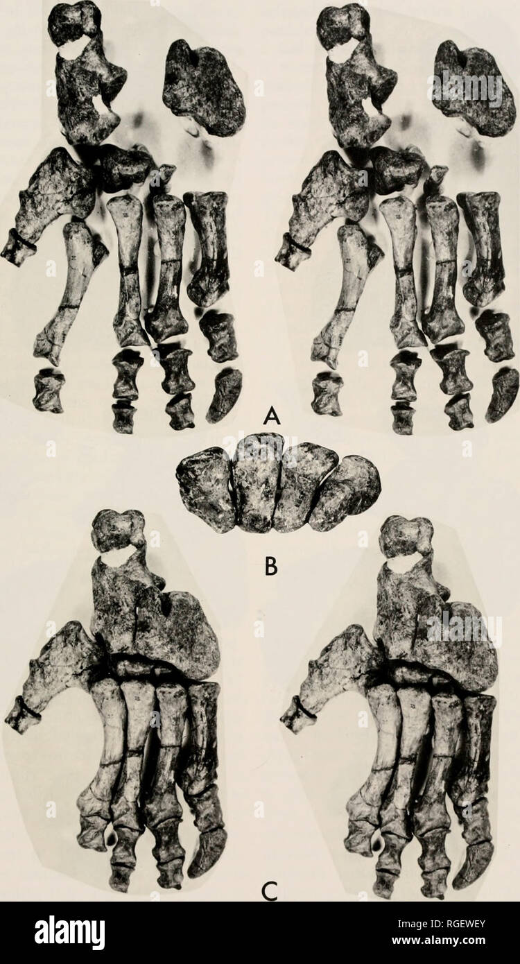. Bulletin of the Museum of Comparative Zoology at Harvard College ...