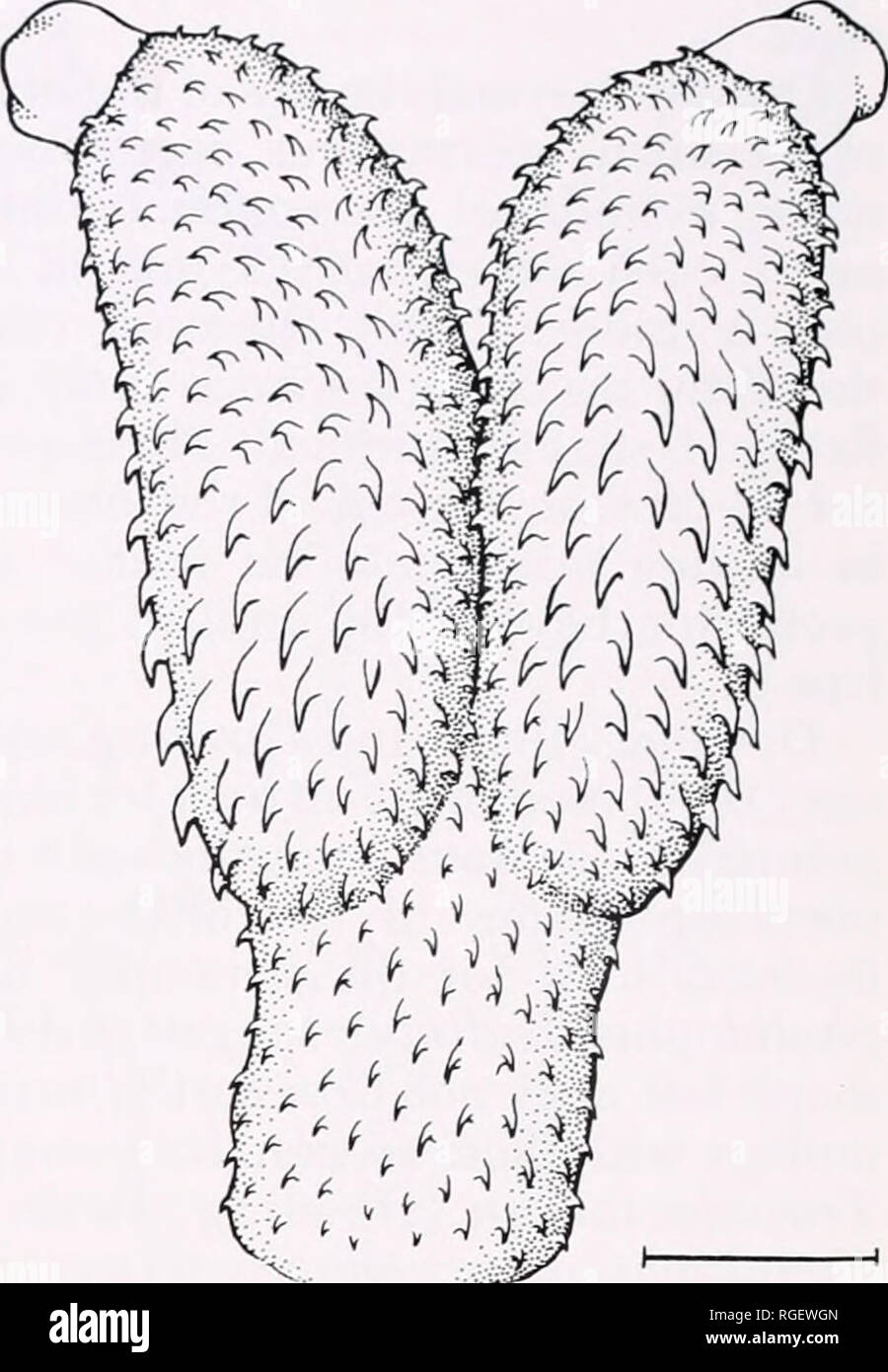 . Bulletin of the Museum of Comparative Zoology at Harvard College ...