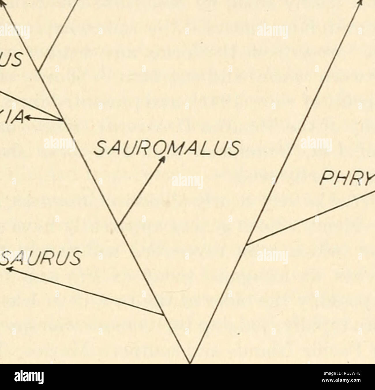 . Bulletin of the Museum of Comparative Zoology at Harvard College ...