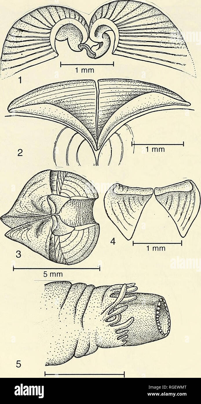. Bulletin of the Museum of Comparative Zoology at Harvard College ...